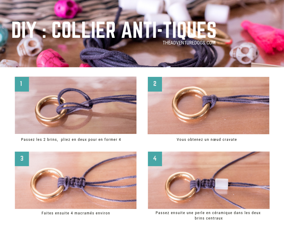 Comment Faire Un Collier Pour Chien - Chien Nouvelles Comment Faire Un Collier Pour Chien - Chien Nouvelles